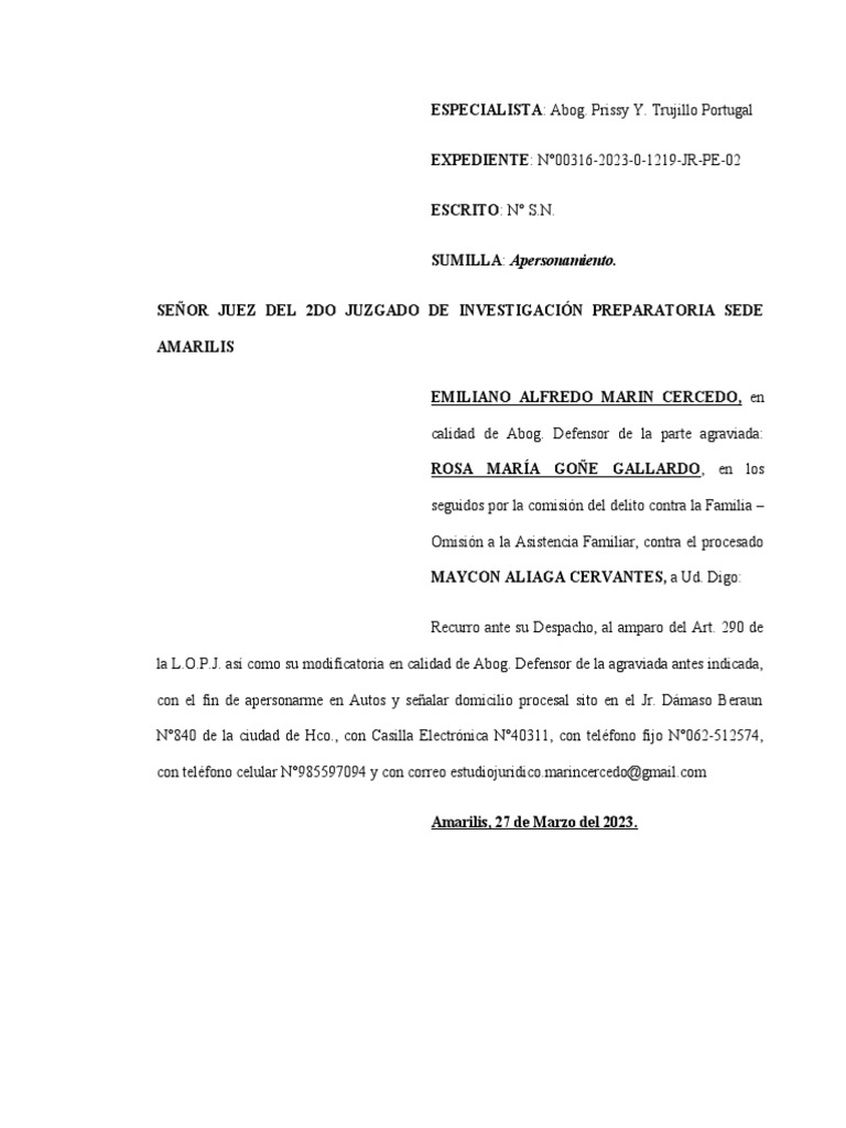 ROSA MARÍA GOÑE GALLARDO Exp 316-2023 Apersonamiento | PDF