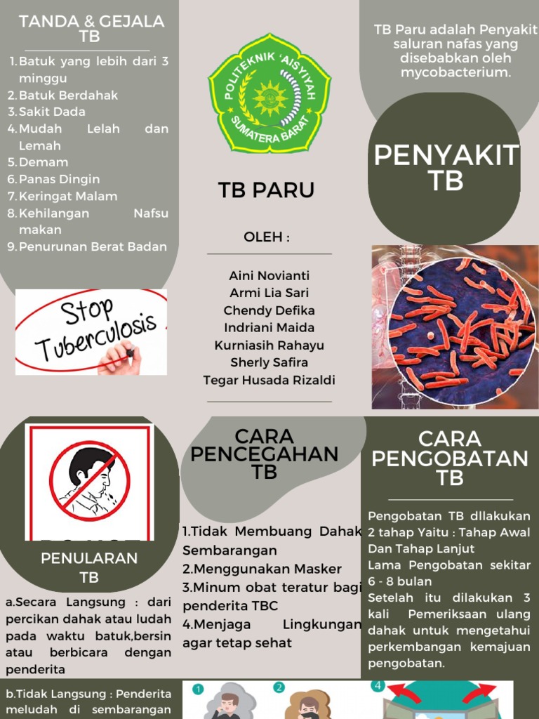 TB Paru | PDF