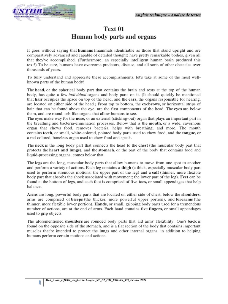 Analyse de Textes Anglais Technique DJEDI COURS-TD | PDF | Universe ...