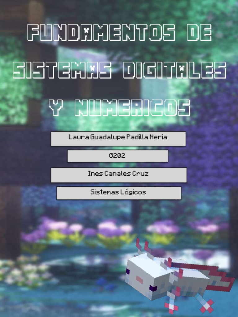 Laura Padilla U4A1 | PDF | Poco | Byte