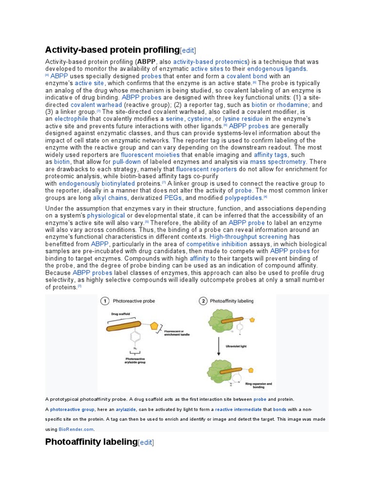 Activity-Based Protein Profiling | PDF | Macromolecules | Structural ...