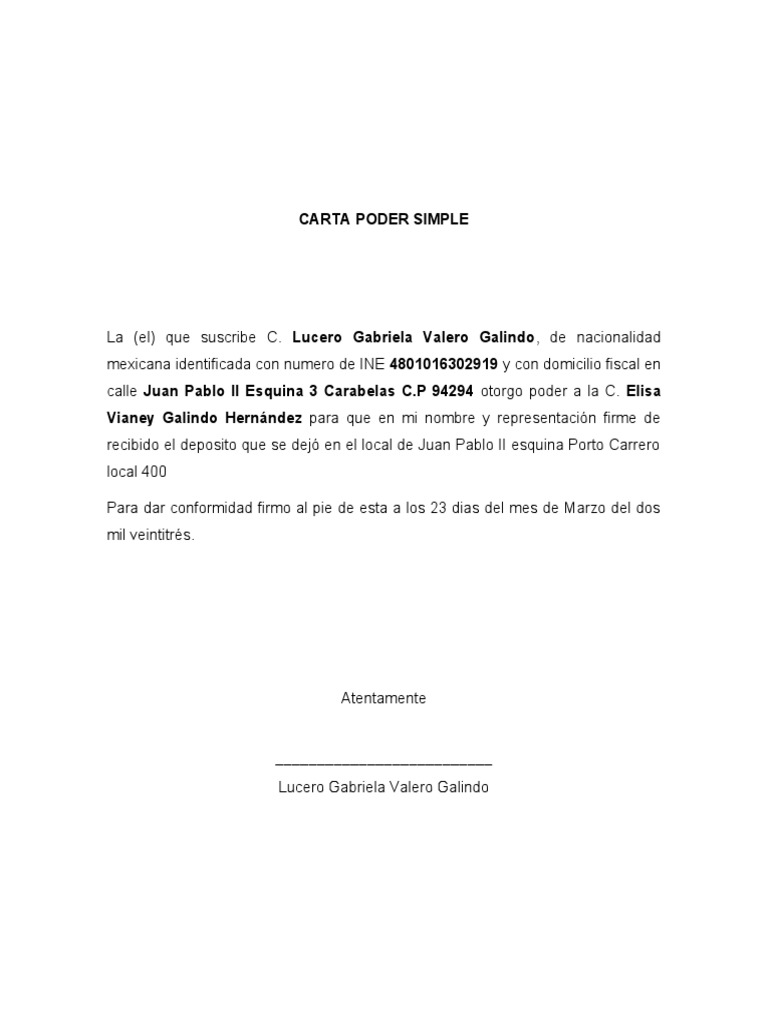 Carta Poder | PDF