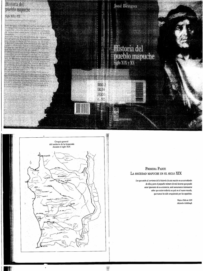 Bengoa. (1996) Historia Del Pueblo Mapuche | PDF