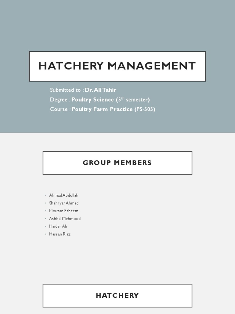 Hatchery Managment | PDF | Virus | Chicken