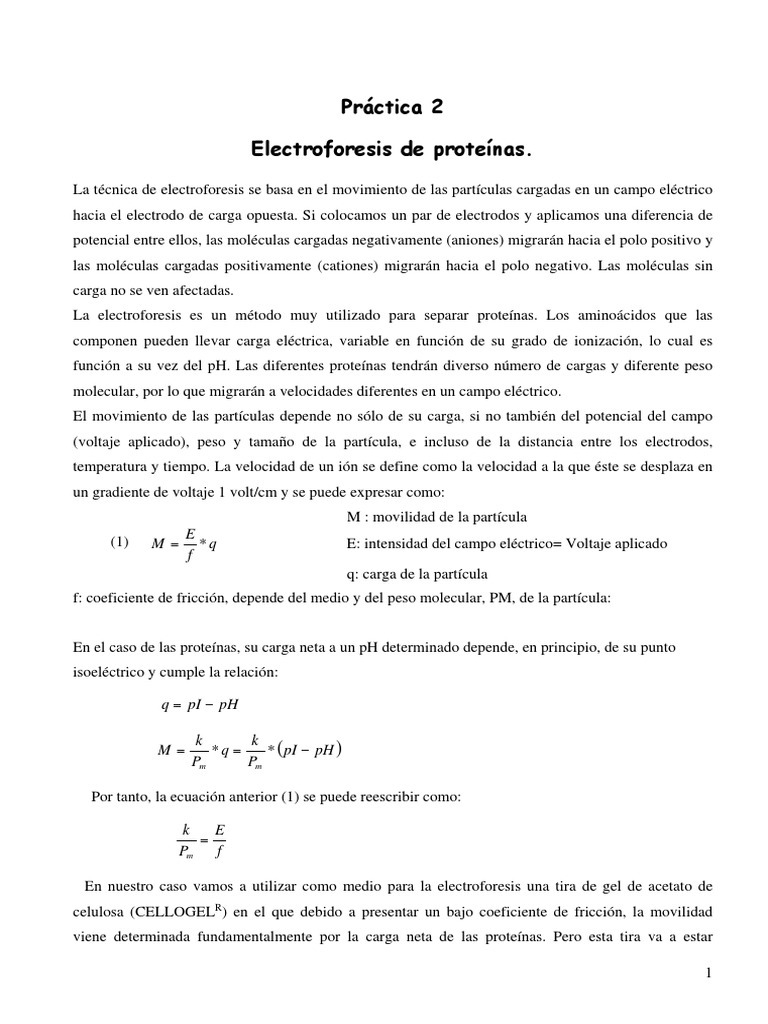 Práctica 2 Electroforesis - 2021 | PDF | Electroforesis | Química