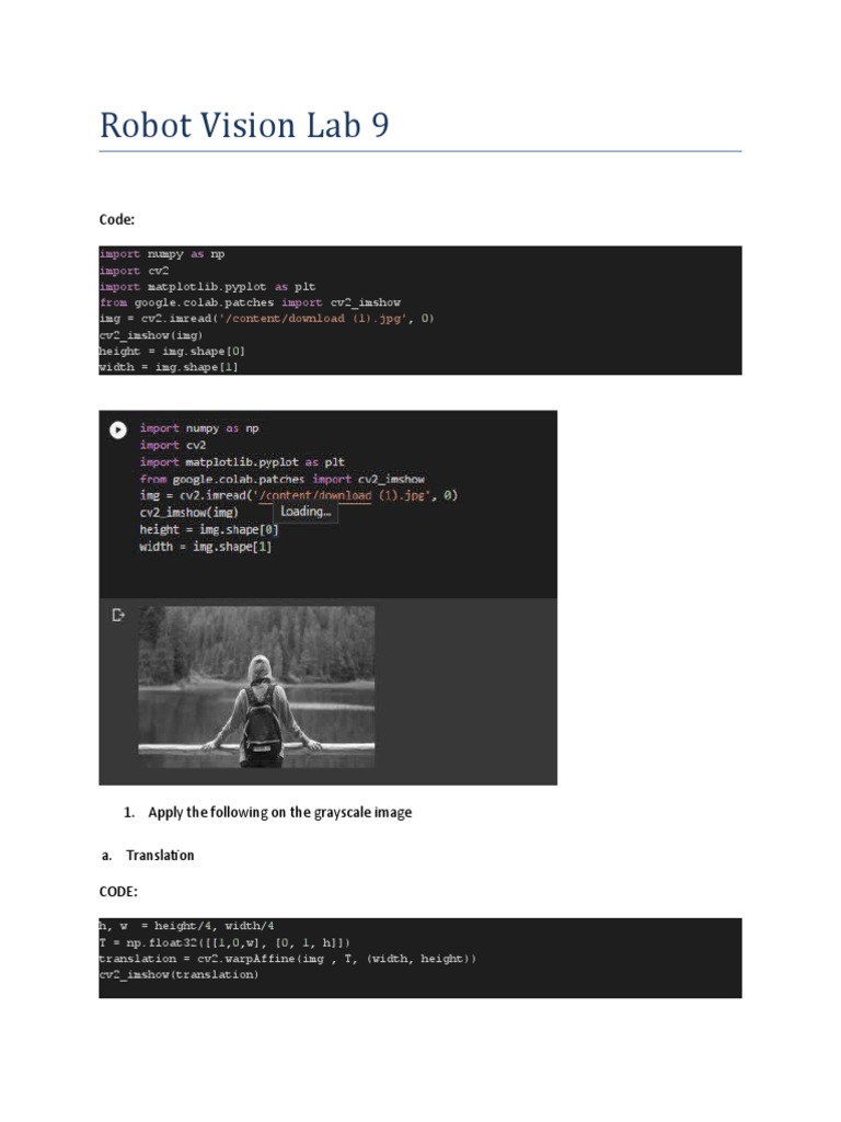 Robot Vision: Image Transformations Guide | PDF