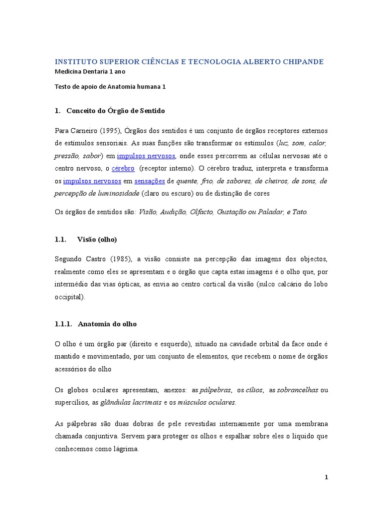 Anatomia dos Órgãos dos Sentidos | PDF | Orelha | Olho humano