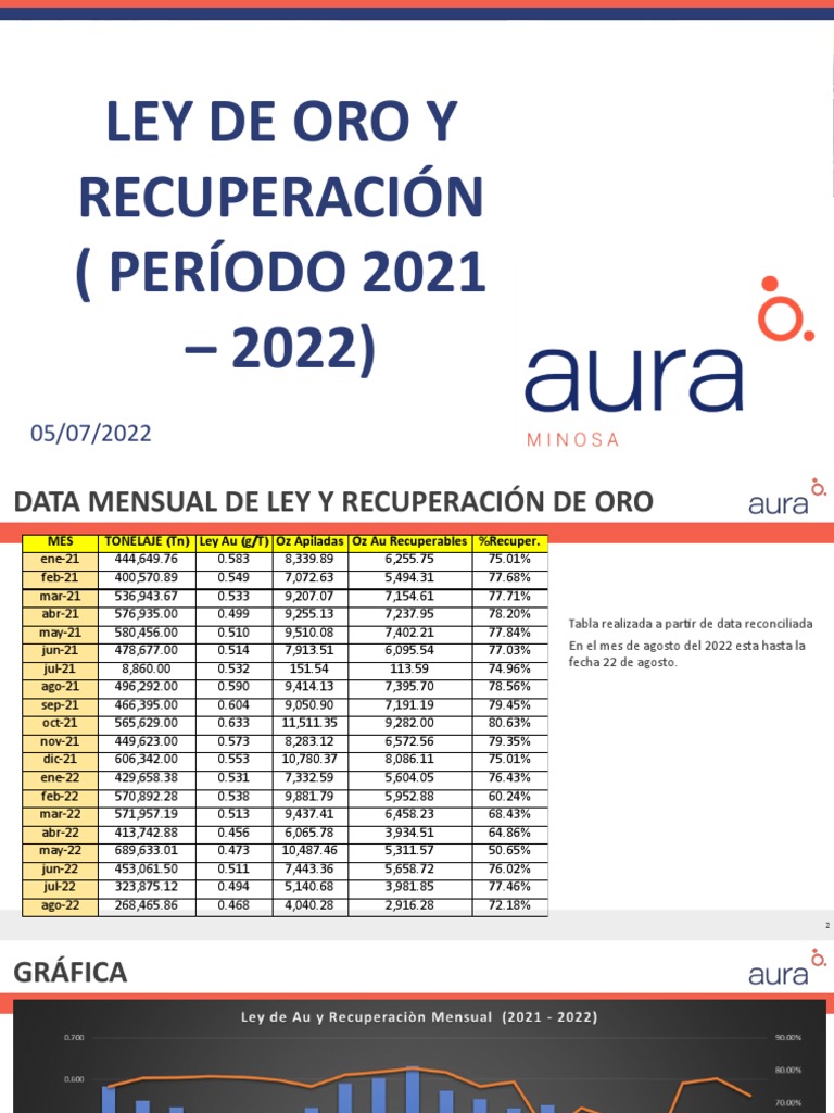 Ley y Recuperacion de Oro | PDF