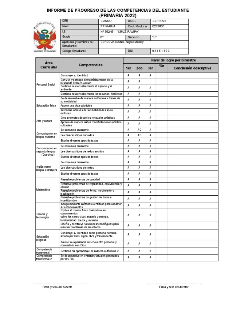 Informe de Progreso de Las Competencias Del Estudiante 01 | PDF | Ciencia cognitiva | Aprendizaje