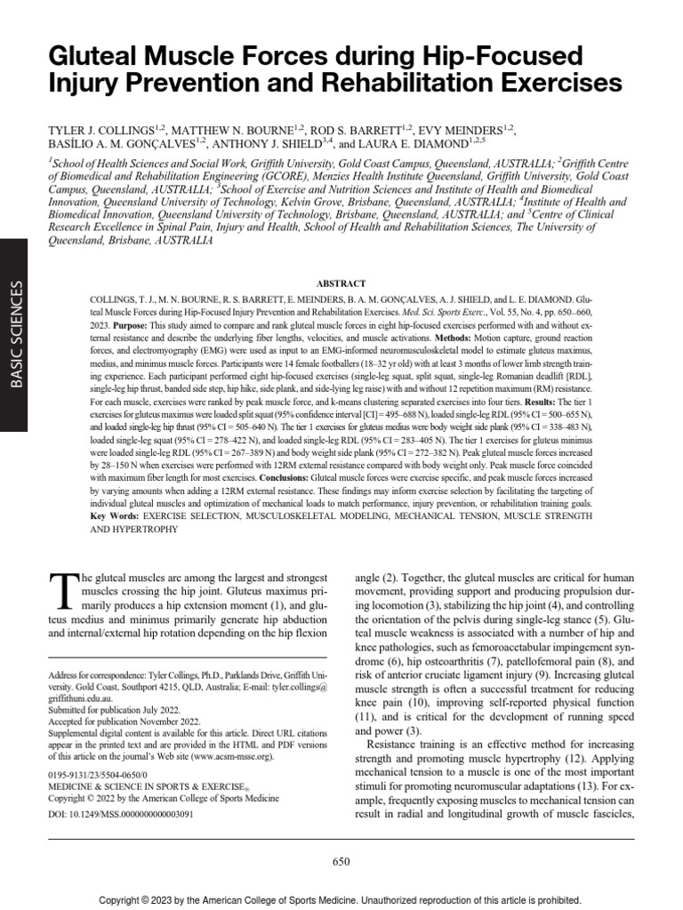 Gluteal Muscle Forces During Hip-Focused Injury Prevention and ...