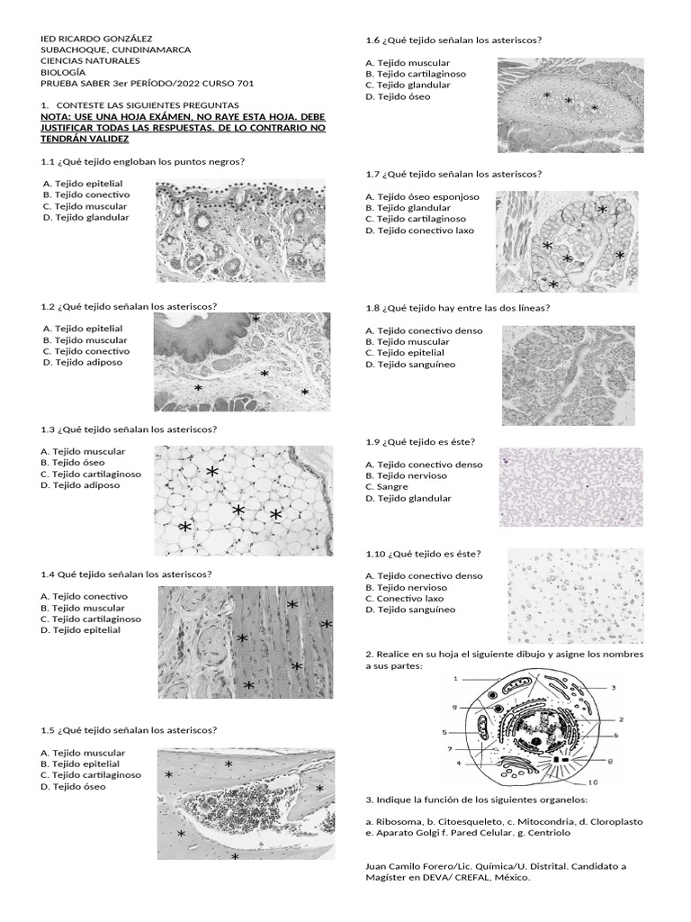 Prueba Saber 701 3p CNB 2022 Juan Camilo | PDF | Tejido conectivo | Tejido (biología)