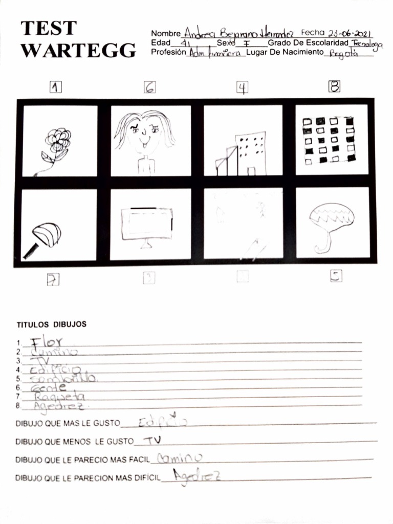 Análisis de Dibujos en Test Wartegg | PDF