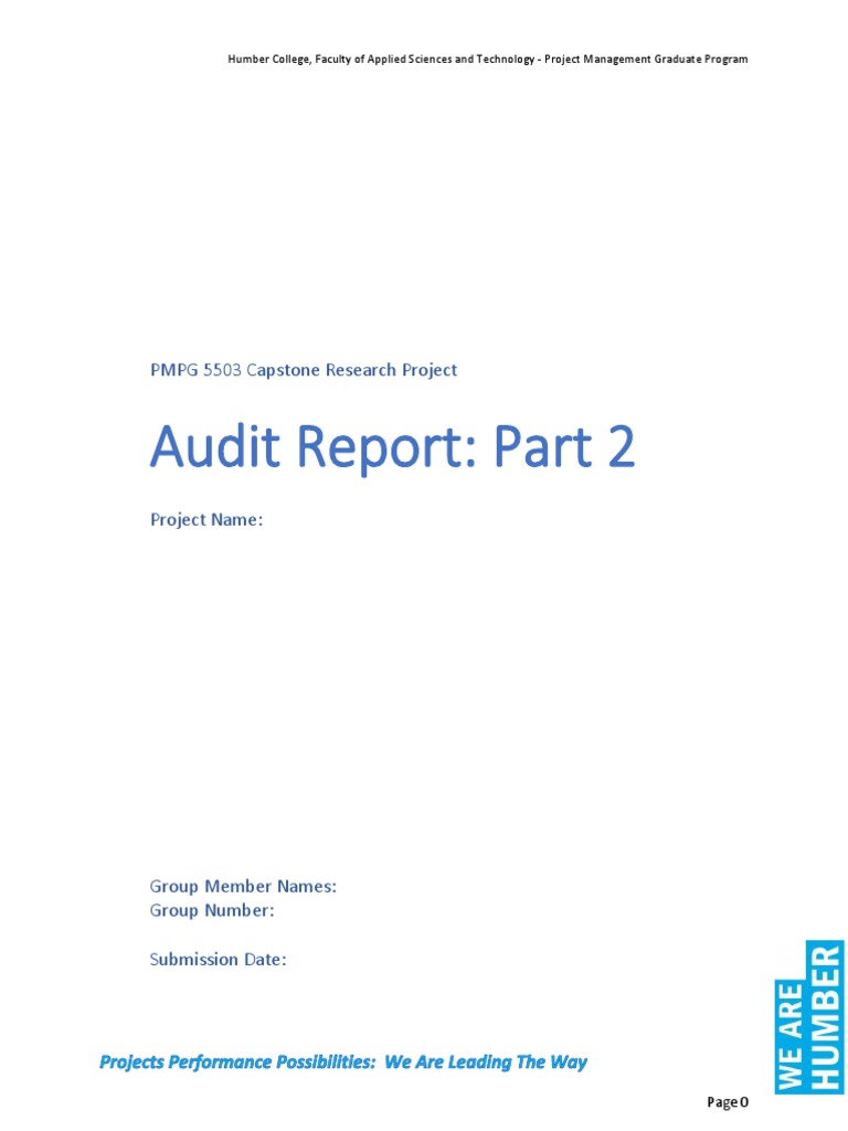 OG - Audit Report - Part 2 - Group No. 9 | PDF | Project Management ...