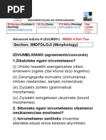 Classes) : Izigaba Zamabizo (Noun Classes) Meinhof | PDF | Grammar ...