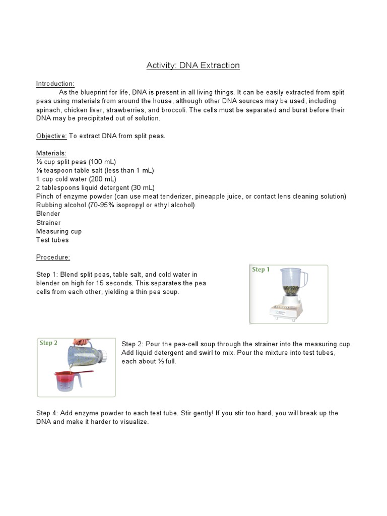 Dna Extraction Pdf Pdf