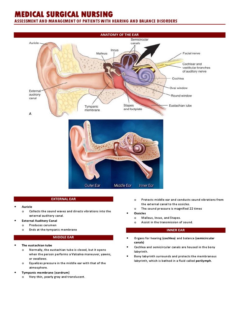 Hearing and Balance Assessment Guide | PDF | Ear | Vertigo