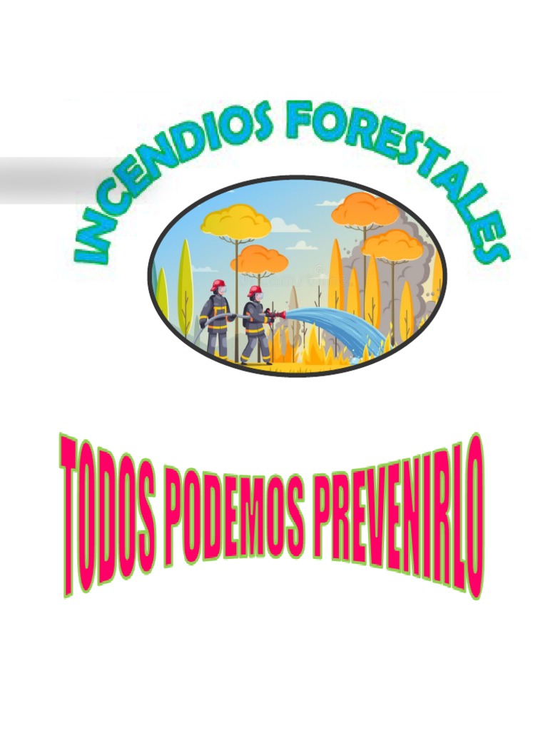 Secuencia Didactica - Incendios Forestales 2º A y B | PDF | Fuego fatuo ...
