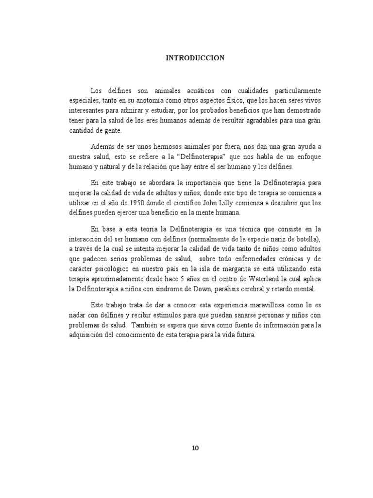 INTRODUCCION - Proyecto | PDF