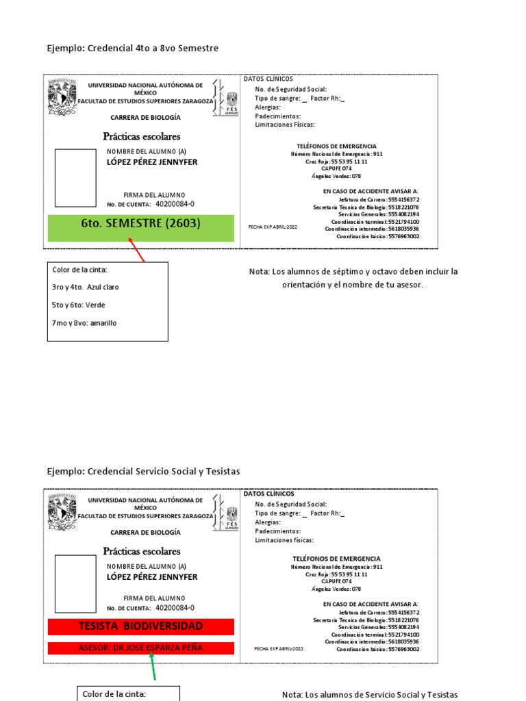 Formato Credencial Campo Alumnos 22 | PDF | Diseño gráfico | Visión