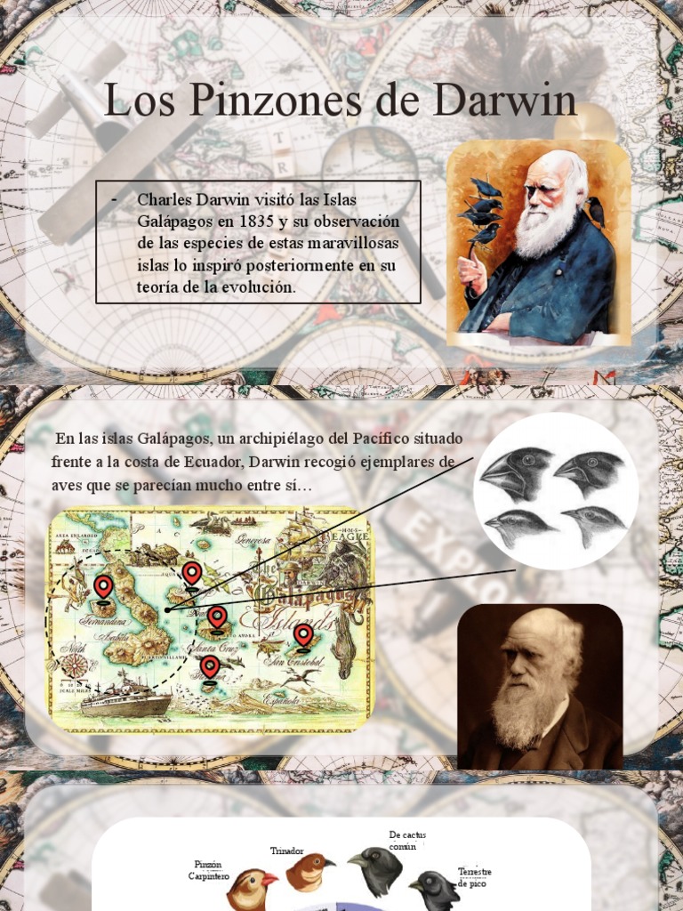 Los Pinzones de Darwin | PDF