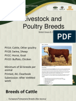 Types and Breeds Carabaos | PDF