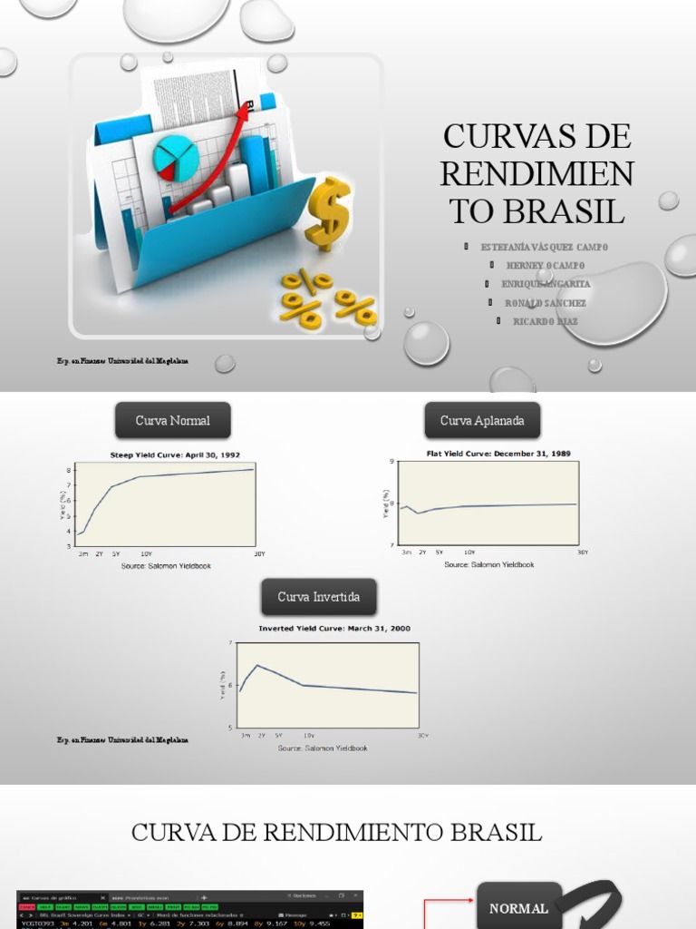 Curvas de Rendimiento-Brasil | PDF | Ciencias económicas | Economía ...
