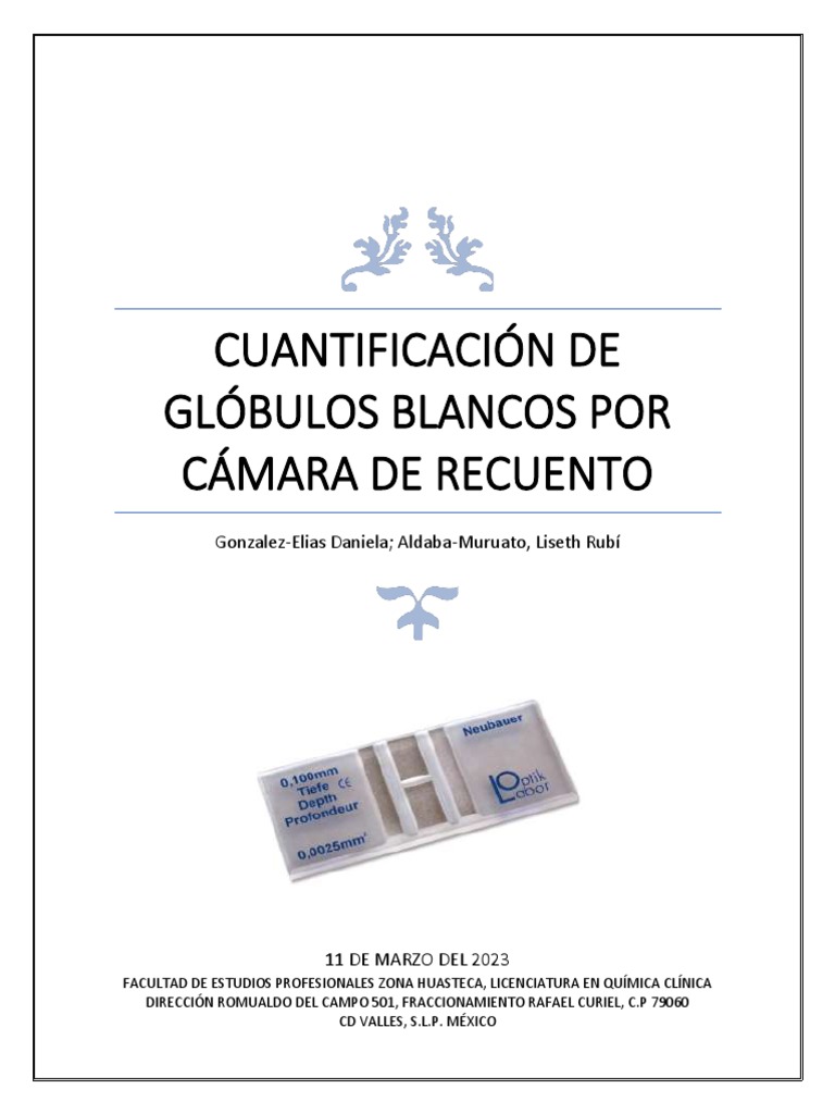 REPORTE DE CUANTIFICACIÓN DE GLÓBULOS BLANCOS | PDF | Sangre | Leucocito