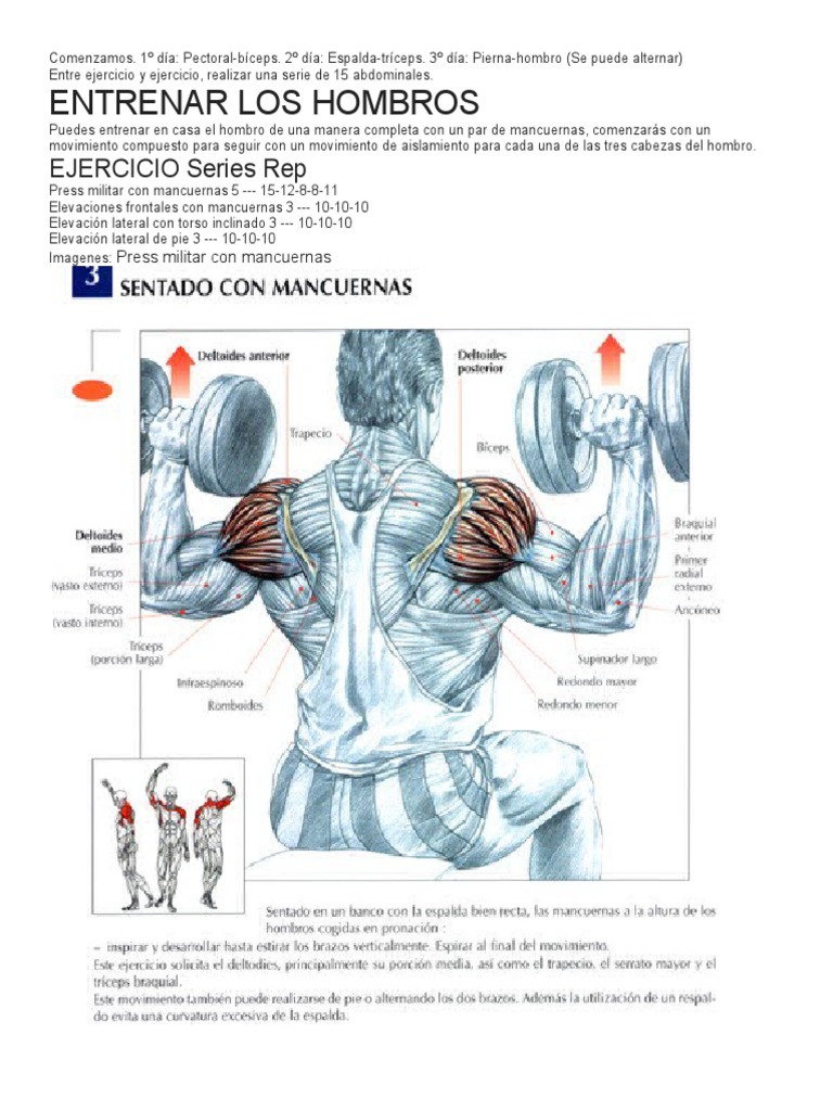 Entrenar Con Macuernas | PDF | Anatomía humana | Entrenamiento con pesas