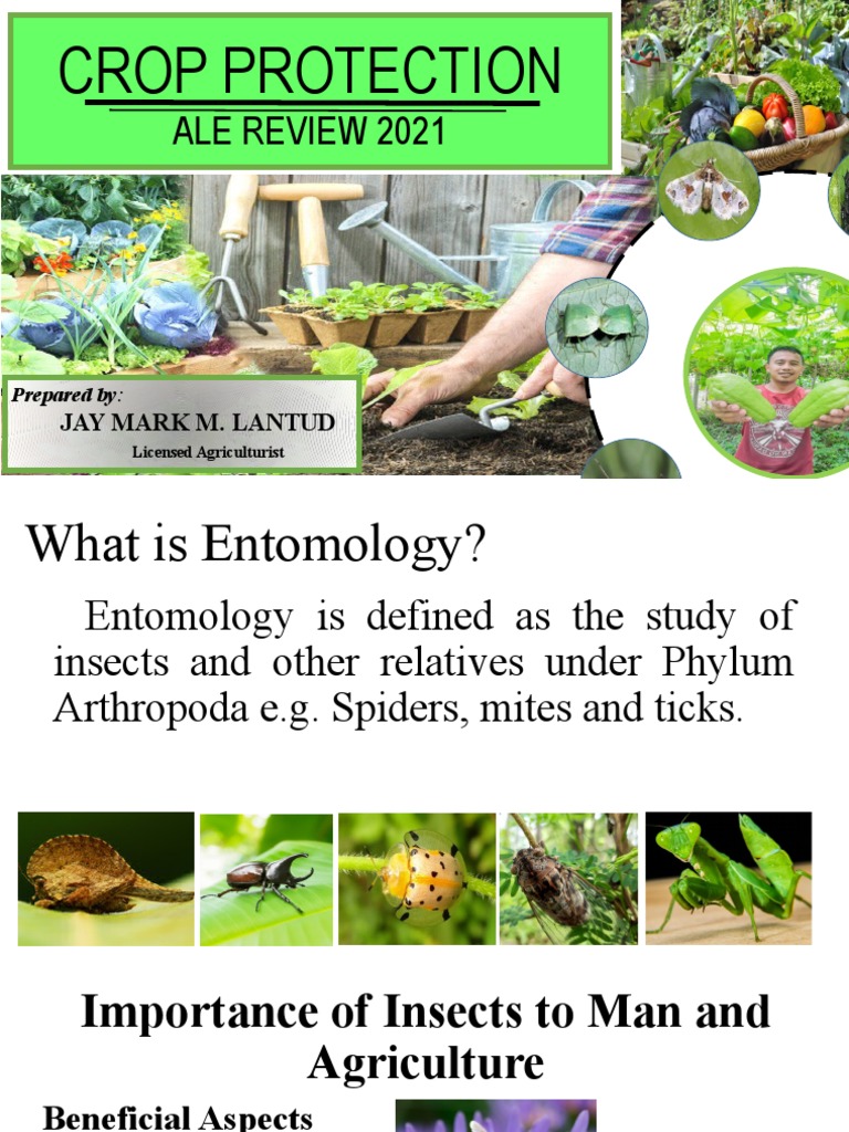 Ale Review 2021: Crop Protection | PDF | Insects | Pest (Organism)