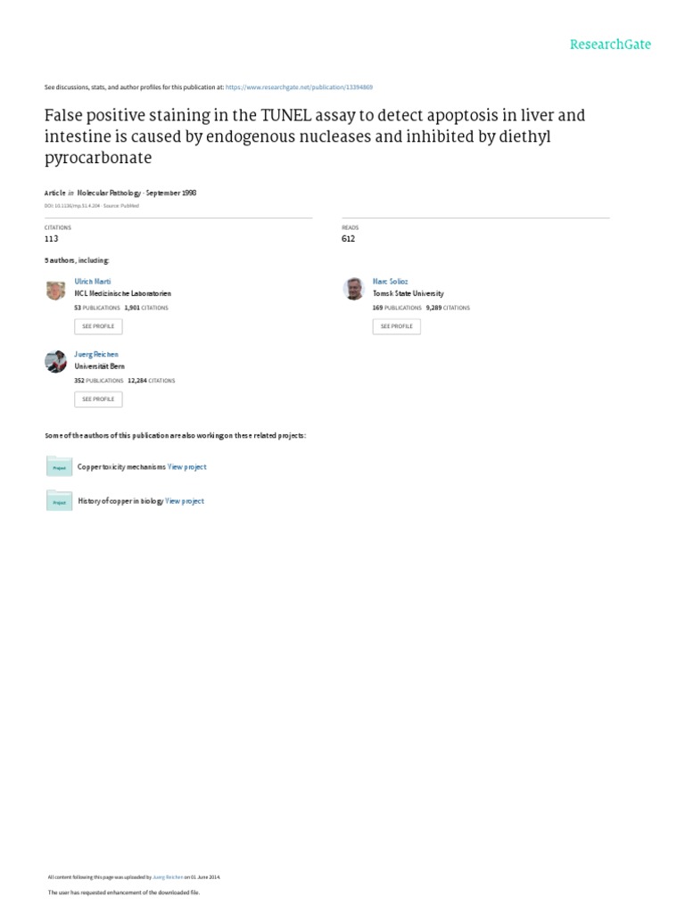 False Positive Staining in The TUNEL Assay To Dete | PDF | Apoptosis ...