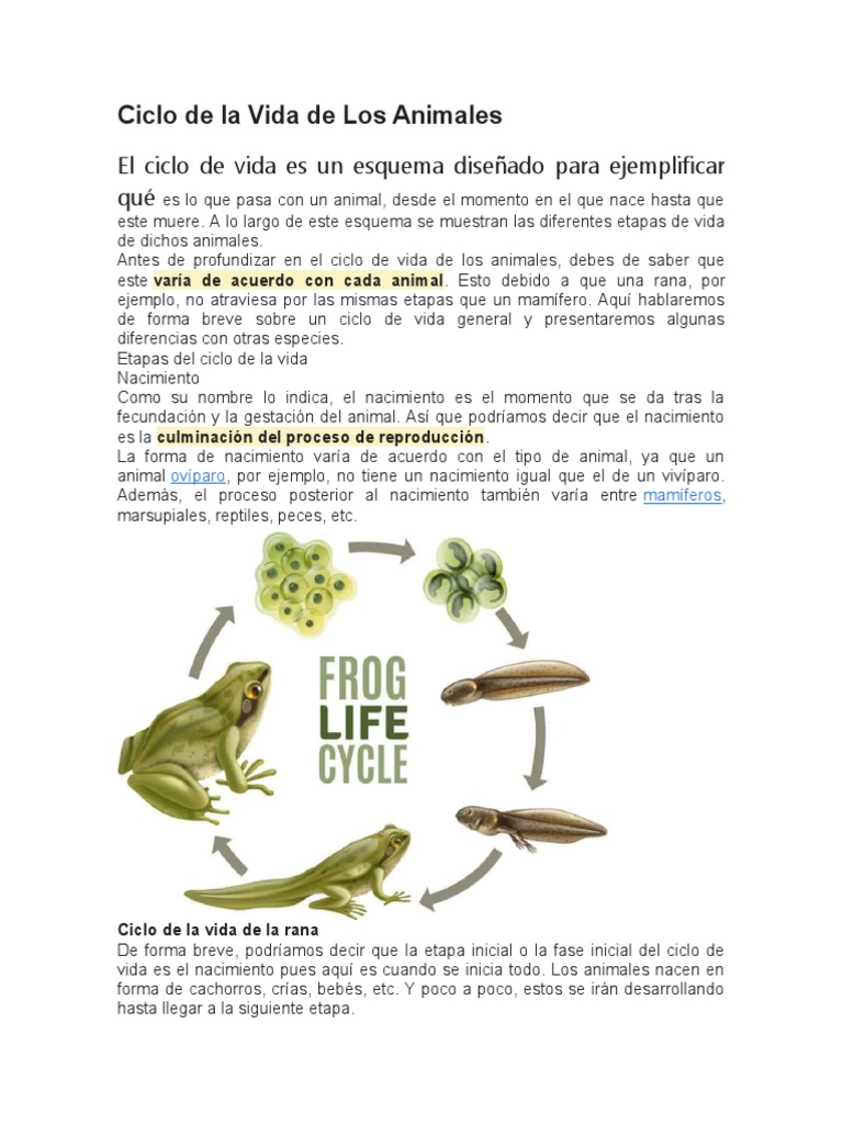 Ciclo de La Vida de Los Animales | PDF | Reproducción | Interacciones biológicas
