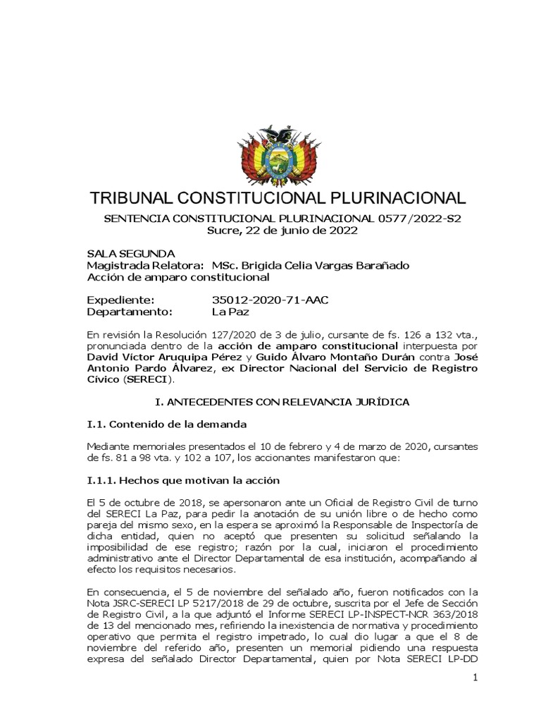 SENTENCIA Modelo | PDF | Constitución | Caso de ley