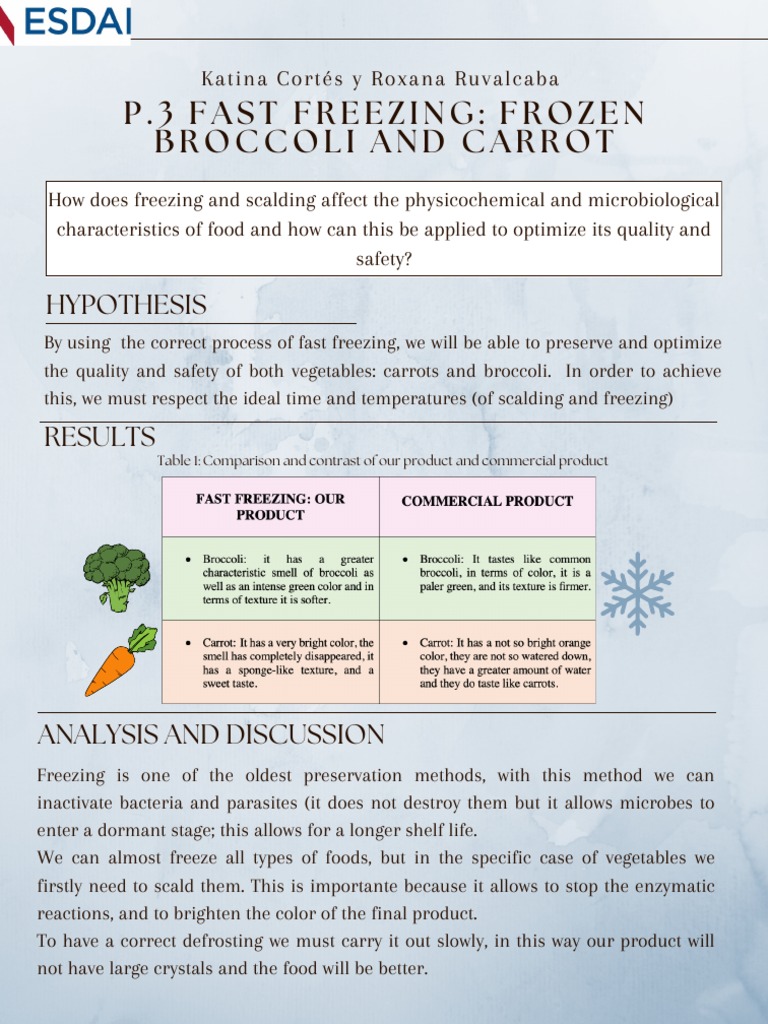 P.3 Fast Freezing | PDF