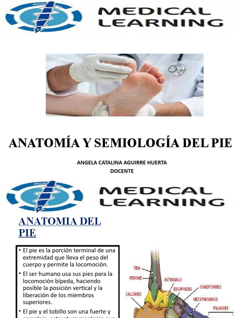 Semiologia Del Pie | PDF | Pie | Medicina CLINICA