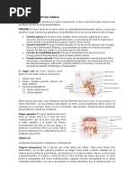 Ubicación y función del ganglio geniculado | PDF | Anatomia animal ...