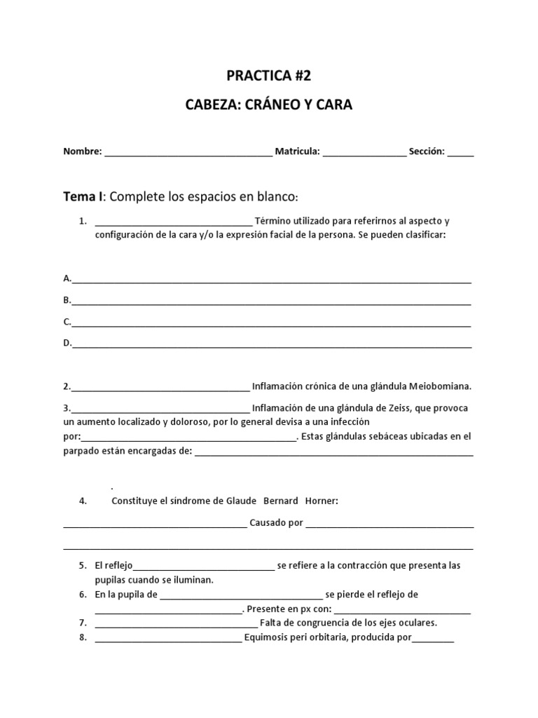 Anatomía y Patologías de Cráneo y Cara | PDF | Finanzas y dinero