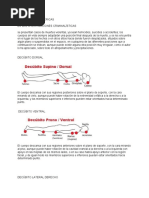 12 Posiciones Cadavéricas en Criminalística | PDF | Términos anatómicos ...