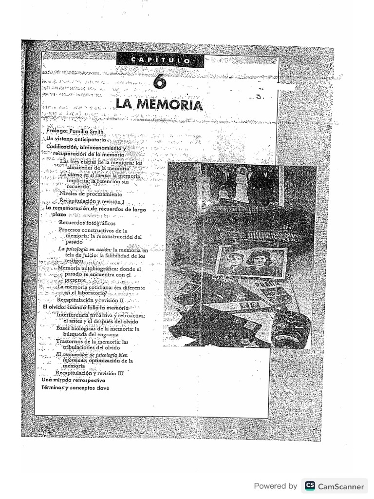 Capítulo 6 La Memoria | PDF