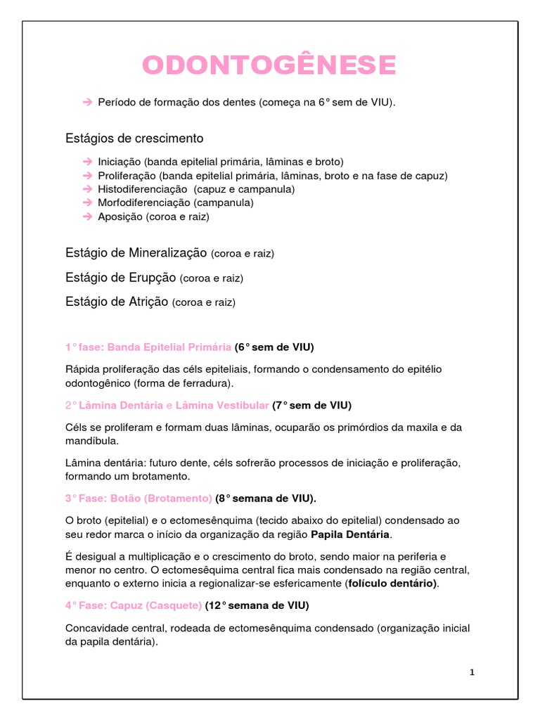Odontogenese | PDF | Dente | Histologia