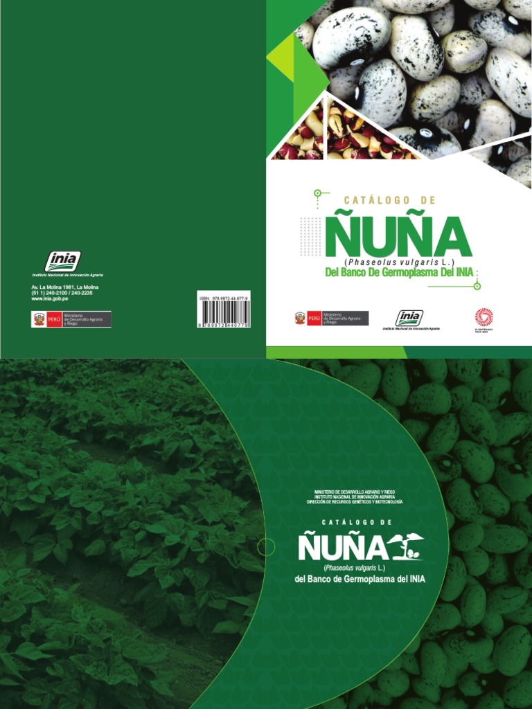 CATÁLOGO DE ÑUÑA (Phaseolus Vulgaris L.) DEL BANCO DE GERMOPLASMA DEL ...