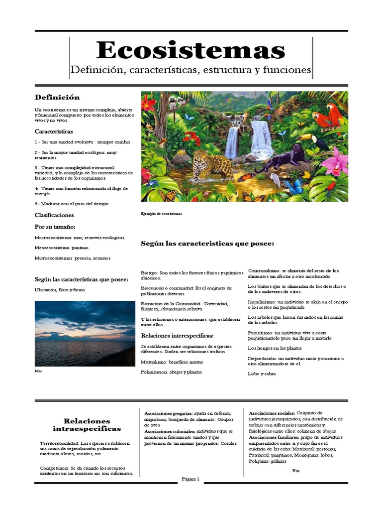 Ecosistemas | PDF | Ecosistema | Ecología
