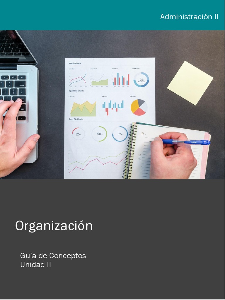 Estructura y Organización Empresarial | PDF | Division de trabajo ...