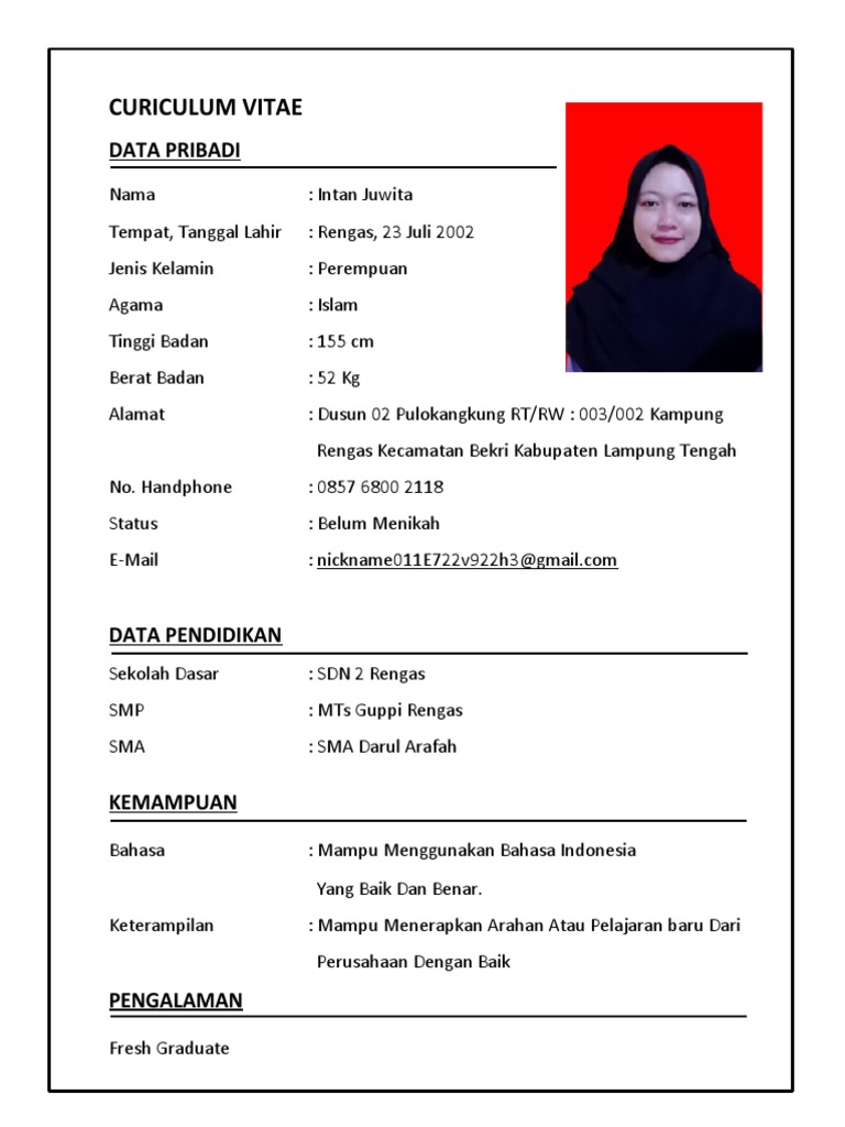 CV Intan | PDF