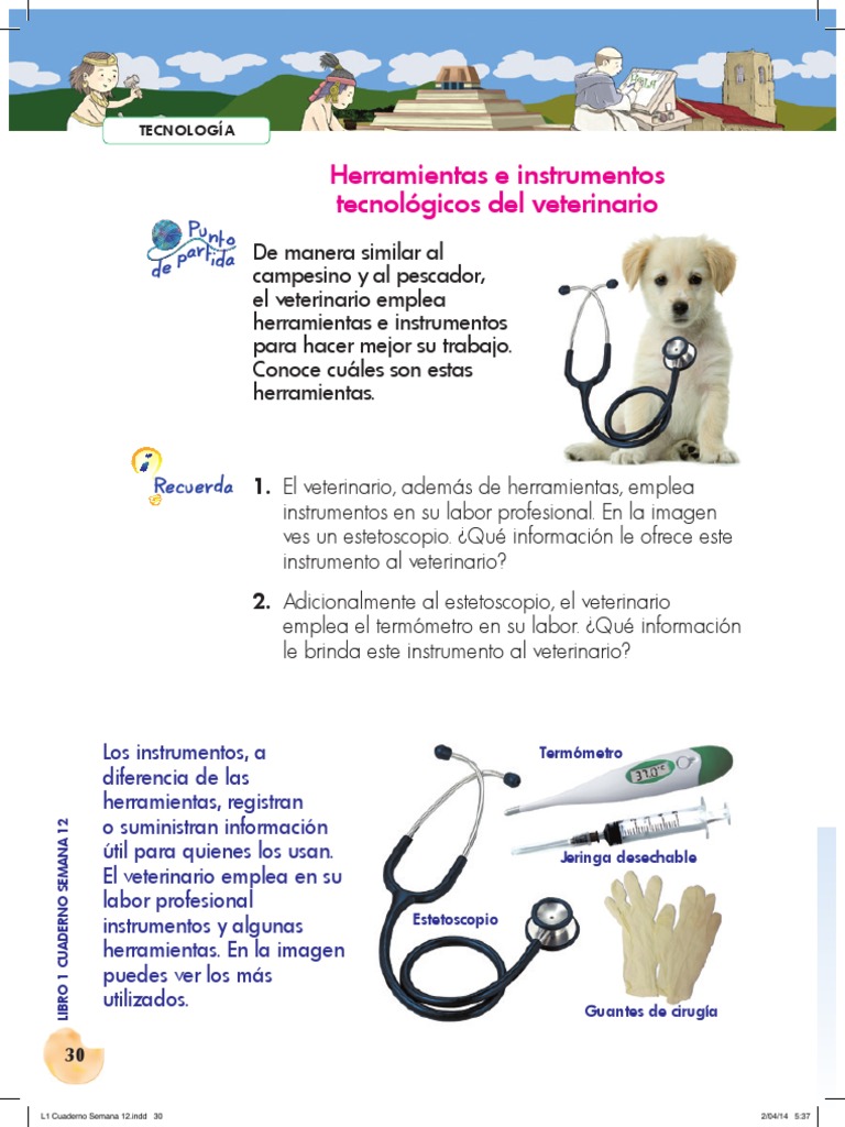 s4-L1 Cuaderno Semana 12.indd | PDF