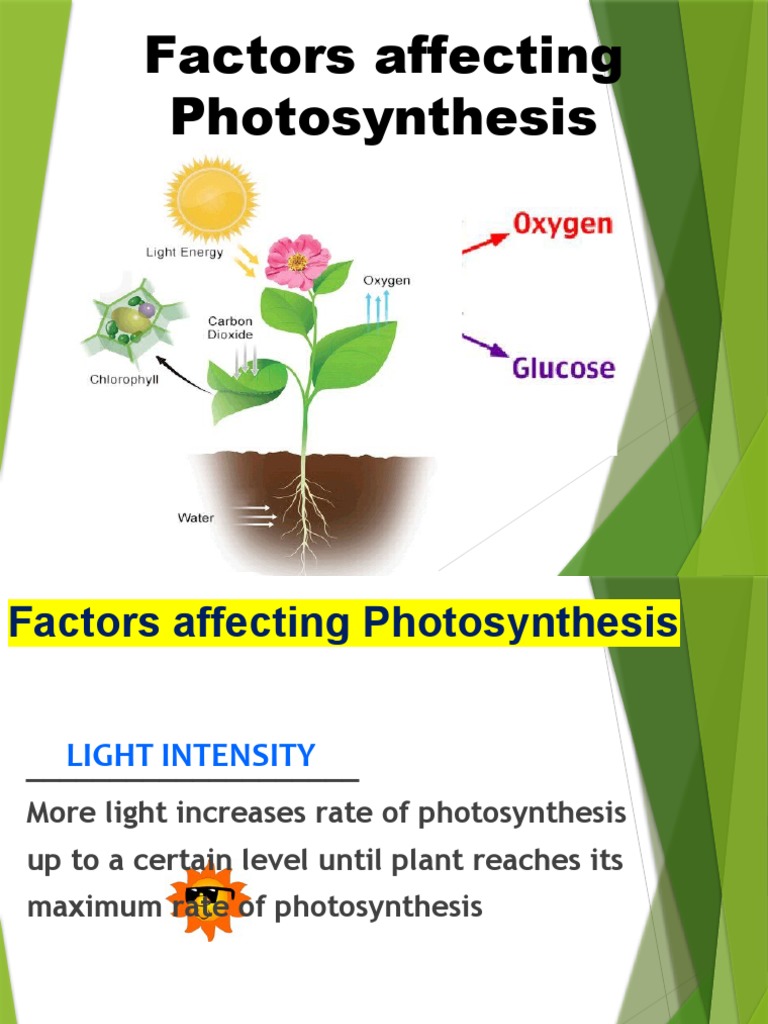 2.1. Factors Affecting Photosynthesis | PDF | Photosynthesis | Chemistry