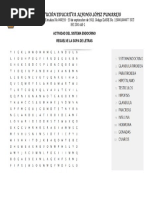 Sopa de letras: Sistema Circulatorio | PDF