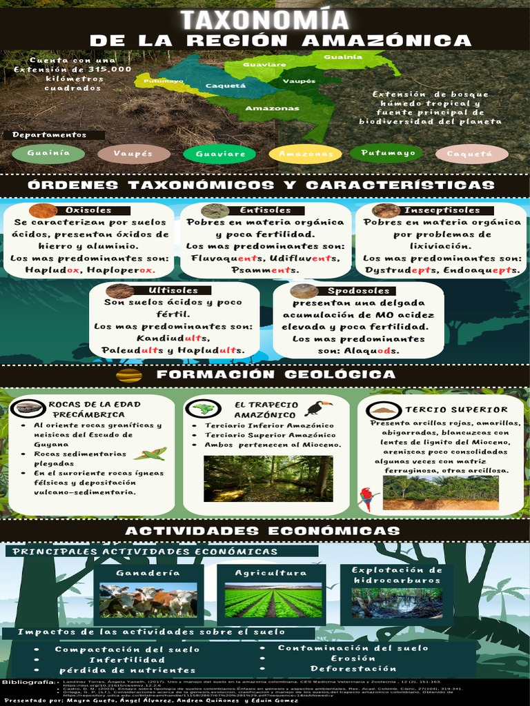 De La Región Amazónica: Órdenes Taxonómicos Y Características | PDF ...