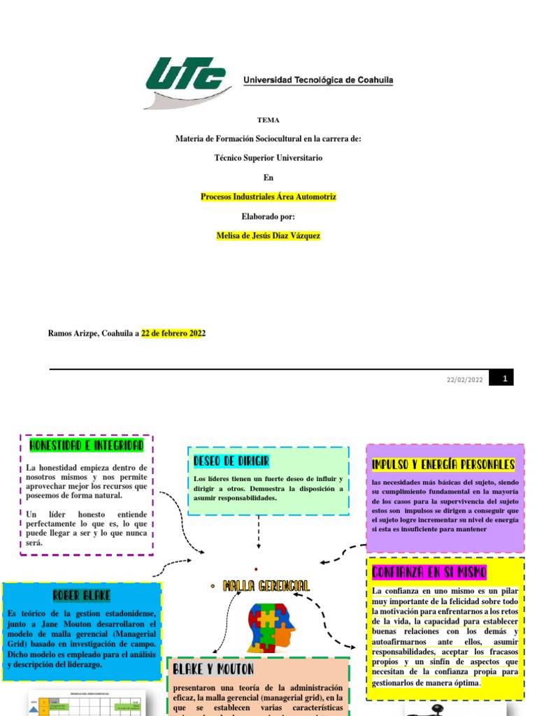 Mapa Mental .1 | PDF | Liderazgo | Ciencia cognitiva