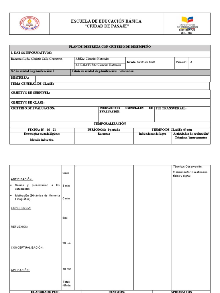 Formato de Plan de Clase | PDF | Aprendizaje