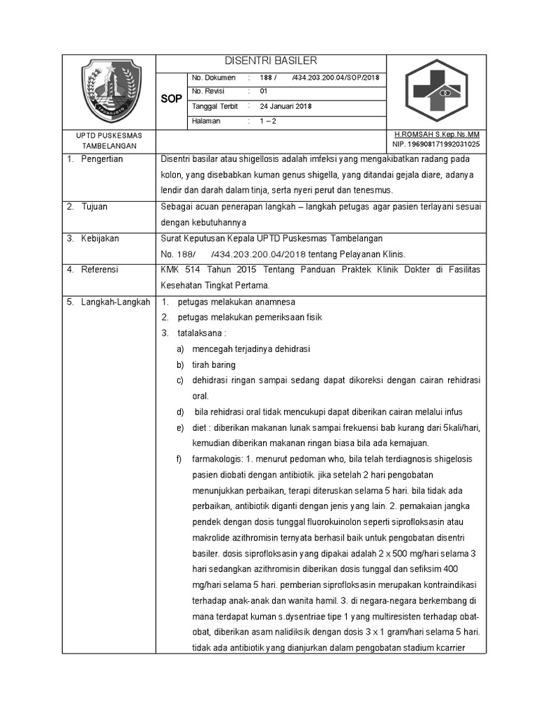 Disentri Basiler | PDF | Kesehatan Holistik